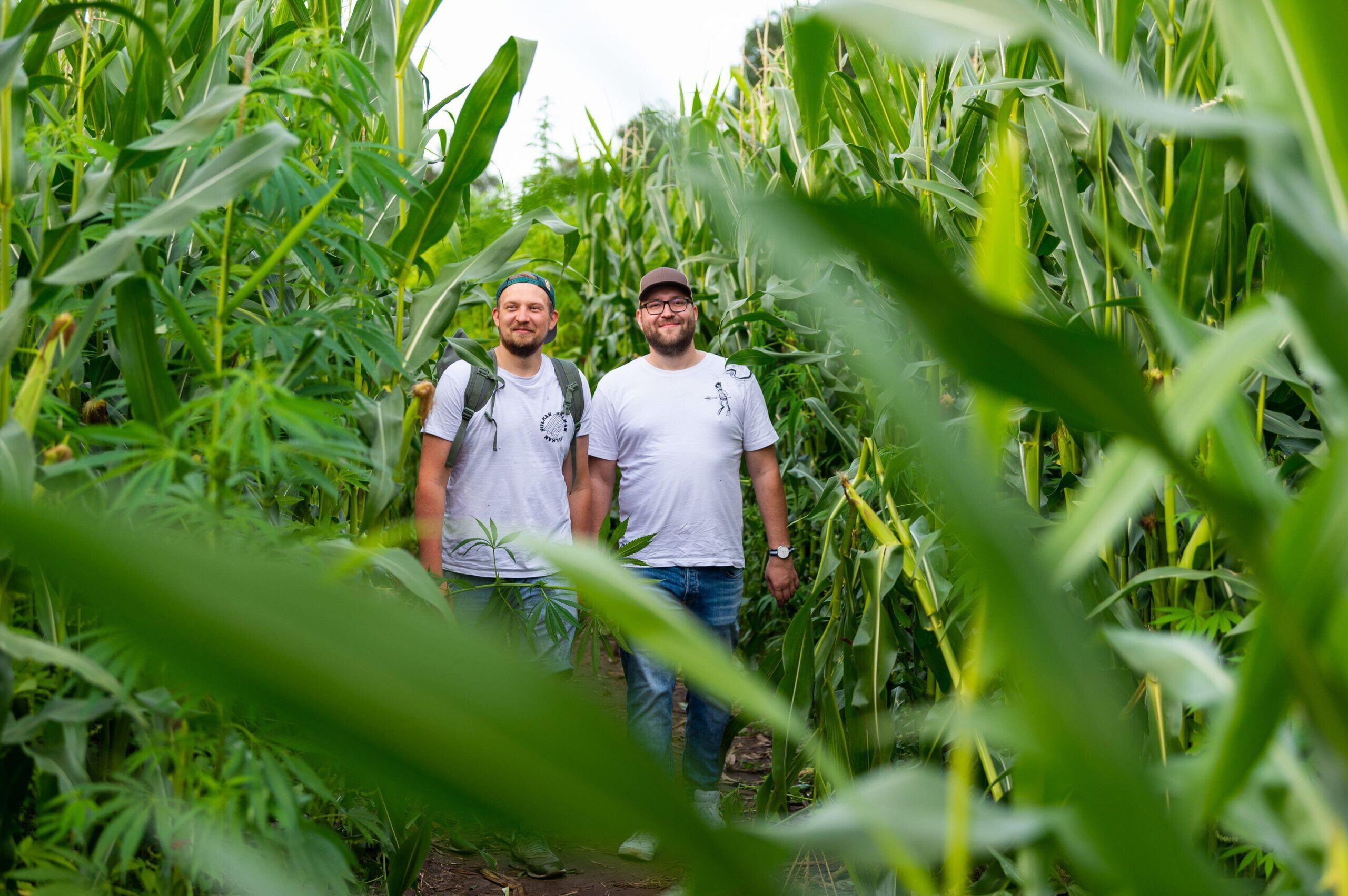 Kunstdoolhof op het terrein van Backer+Rueb in Breda